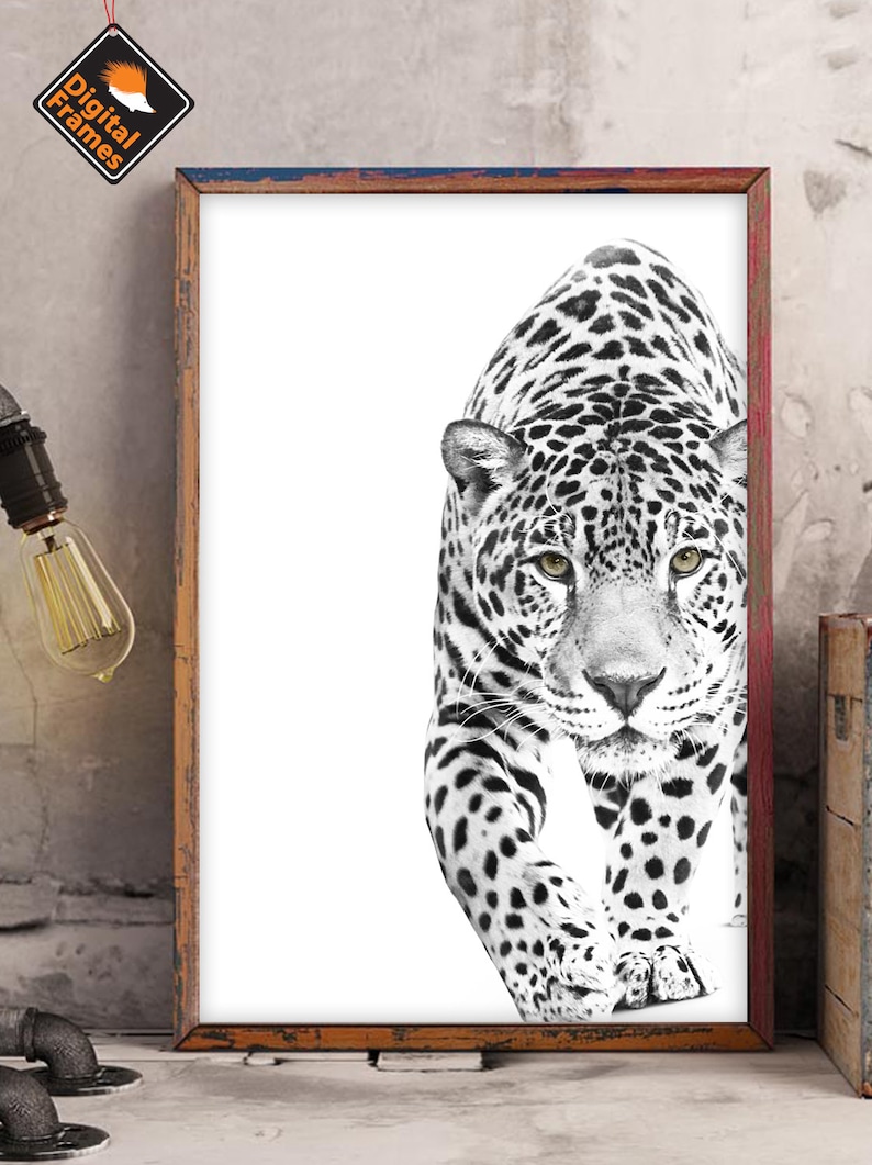 Leopard Poster Printable Animal Wall Art Digital Download | Etsy