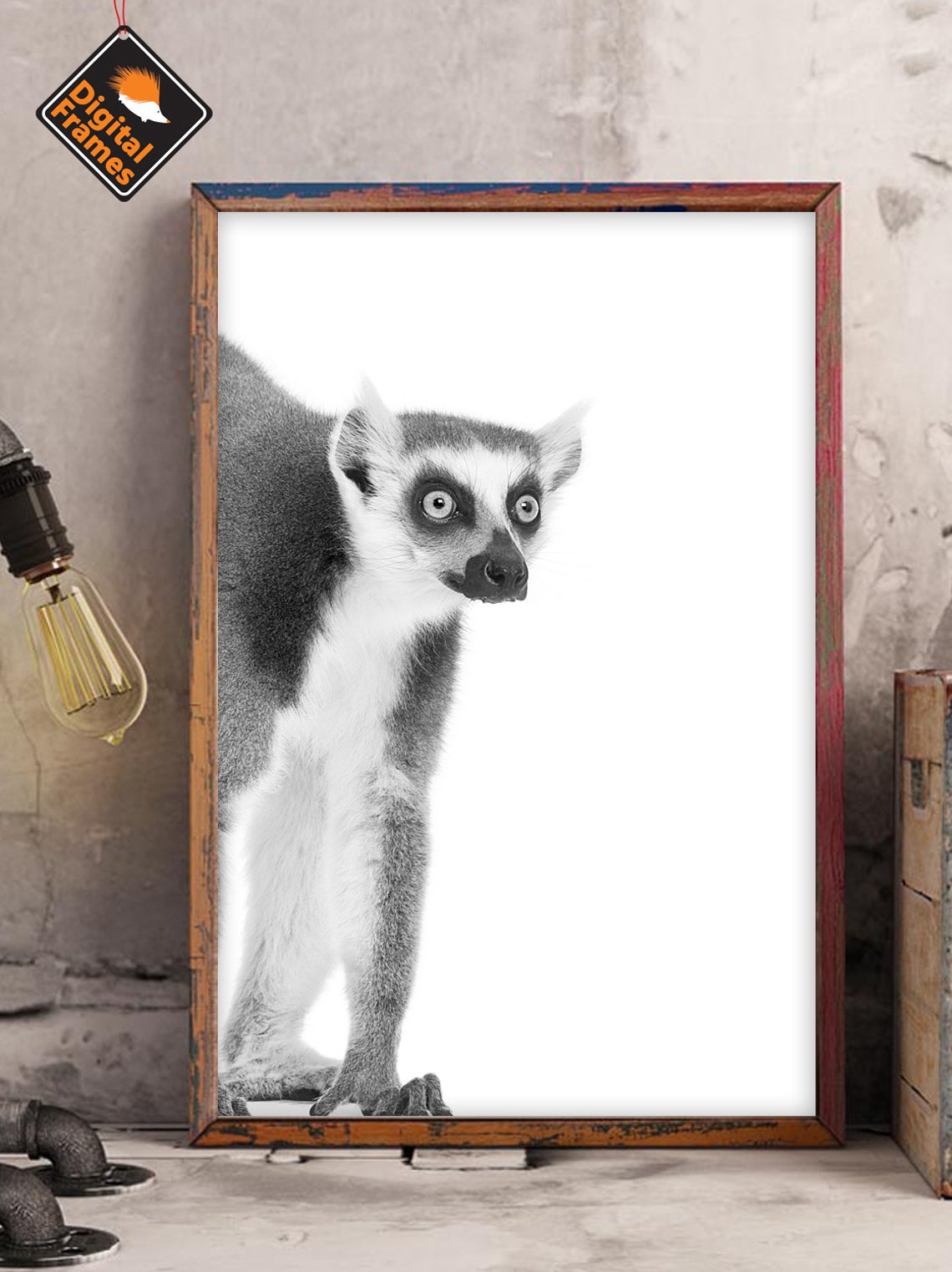 Lemur Print Instant Download, Printable Animal Wall Art Digital, Lemur ...
