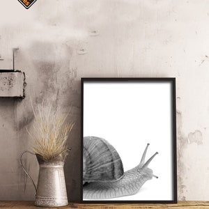 Animal Prints Slug Poster Printable Digital Download Bedroom - Etsy