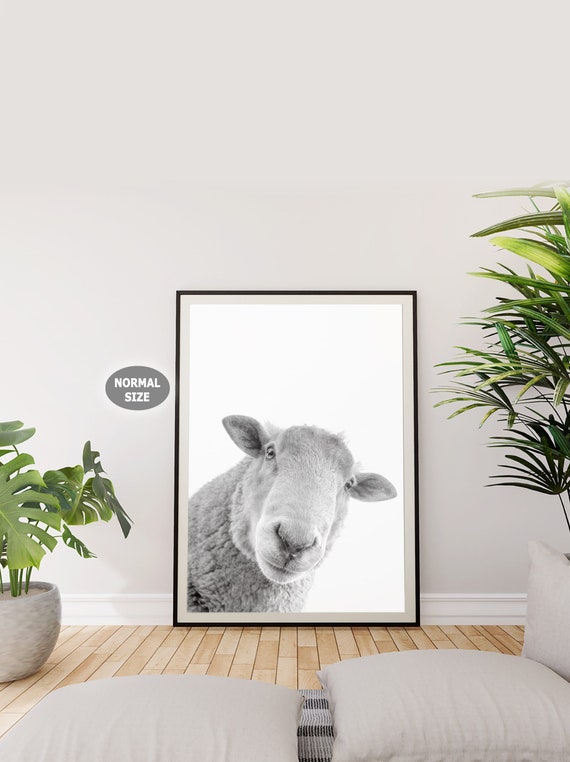 Sheep Wall Art 10 Formats Animal Poster Sheep Poster - Etsy