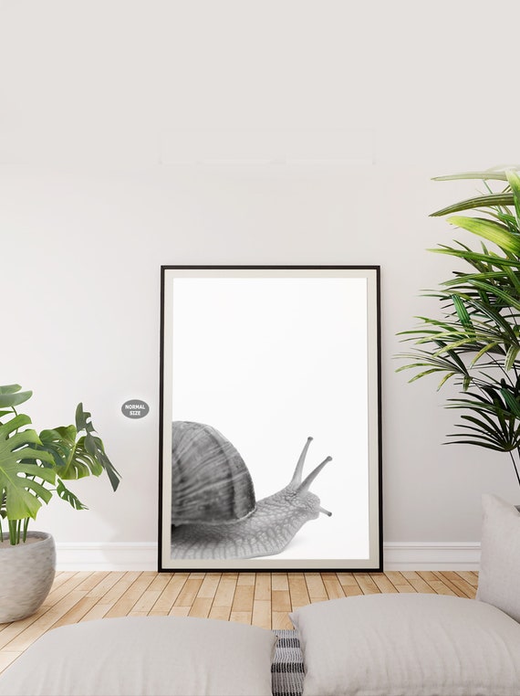 Animal Prints Slug Poster Printable Digital Download Bedroom - Etsy