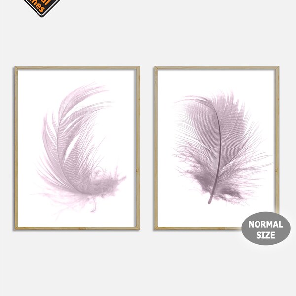 Feather Poster - Etsy