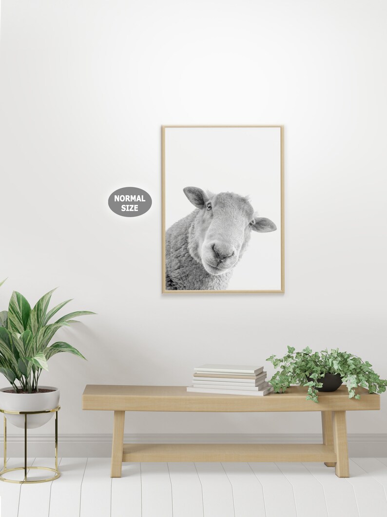 Sheep Wall Art, 10 Formats, Animal Poster, Sheep Poster, Modern Home ...