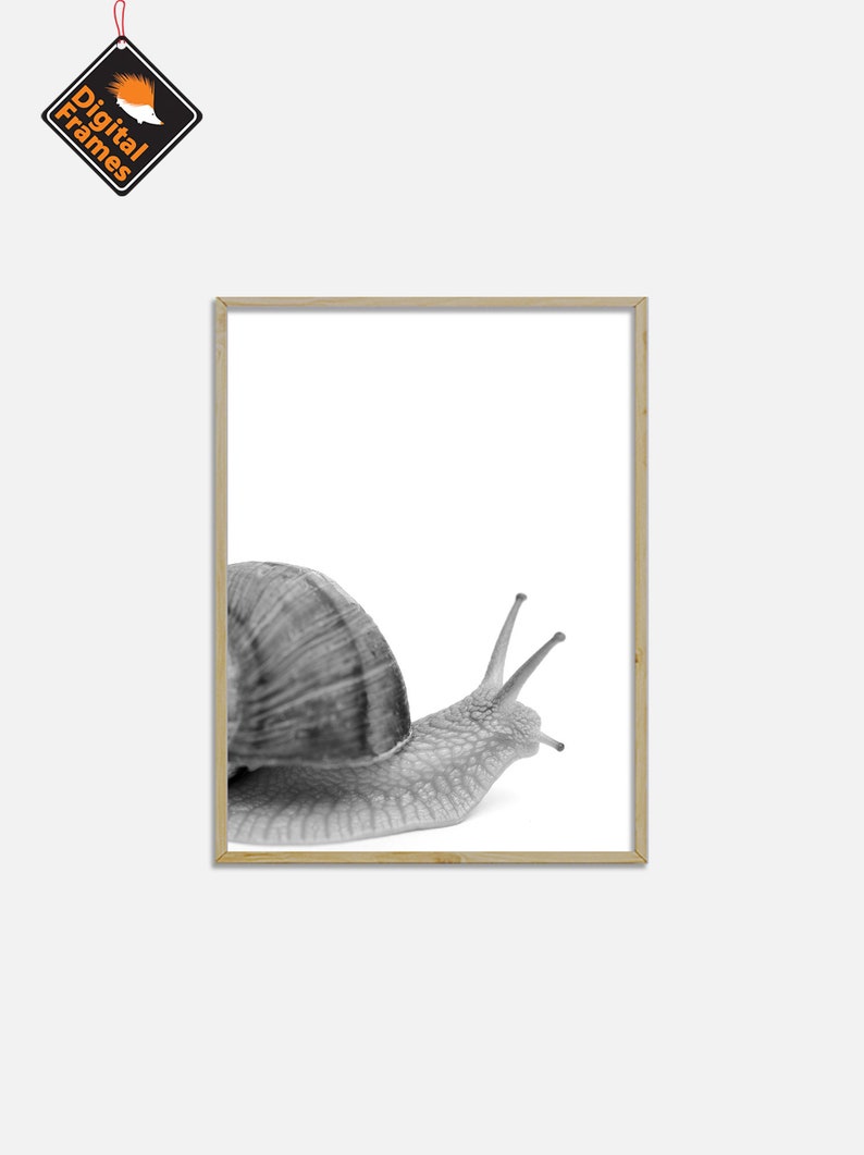 Animal Prints Slug Poster Printable Digital Download Bedroom - Etsy