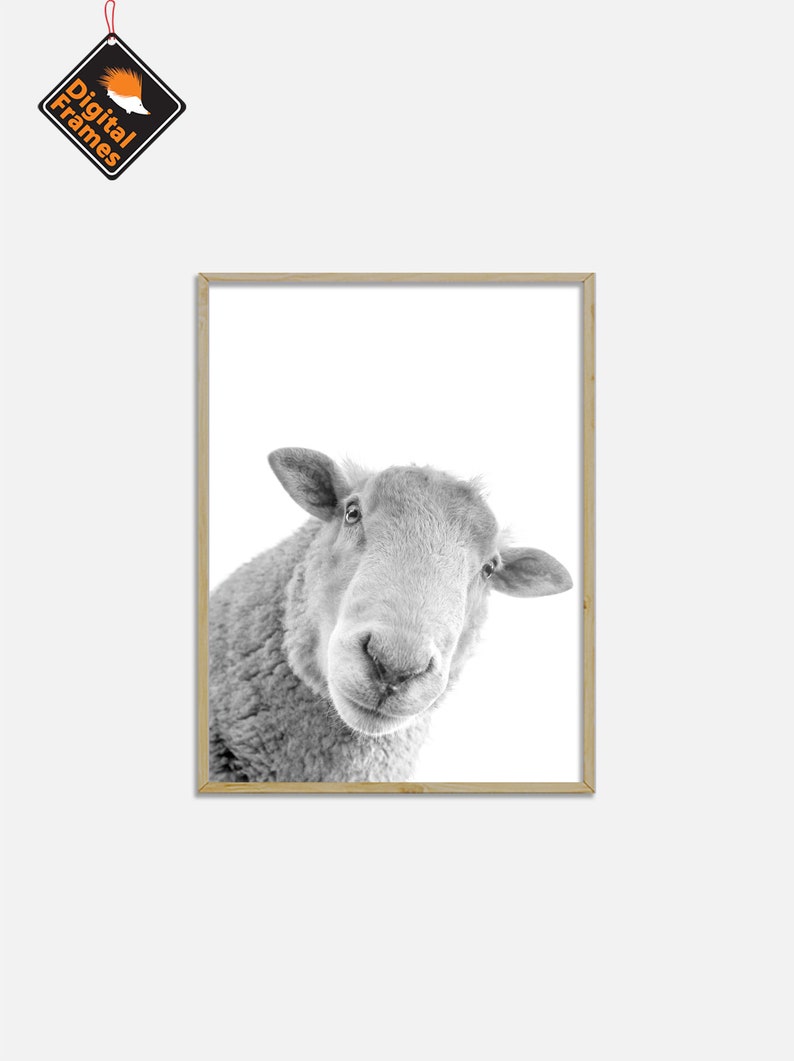 Sheep Wall Art 10 Formats Animal Poster Sheep Poster - Etsy
