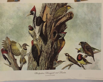 Arthur Singer Bird Print - Etsy