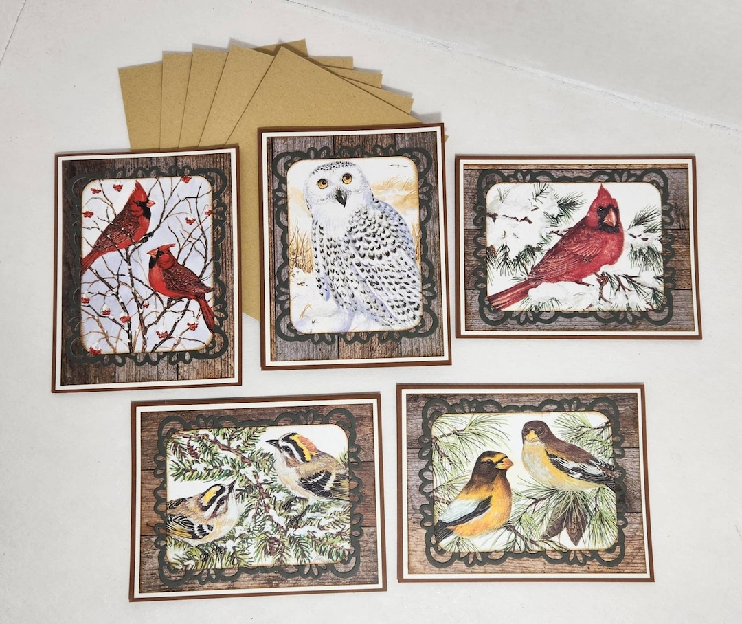 Handmade Winter Bird Cards, Set of 5, Birds, Owl, Robin, Cardinal ...