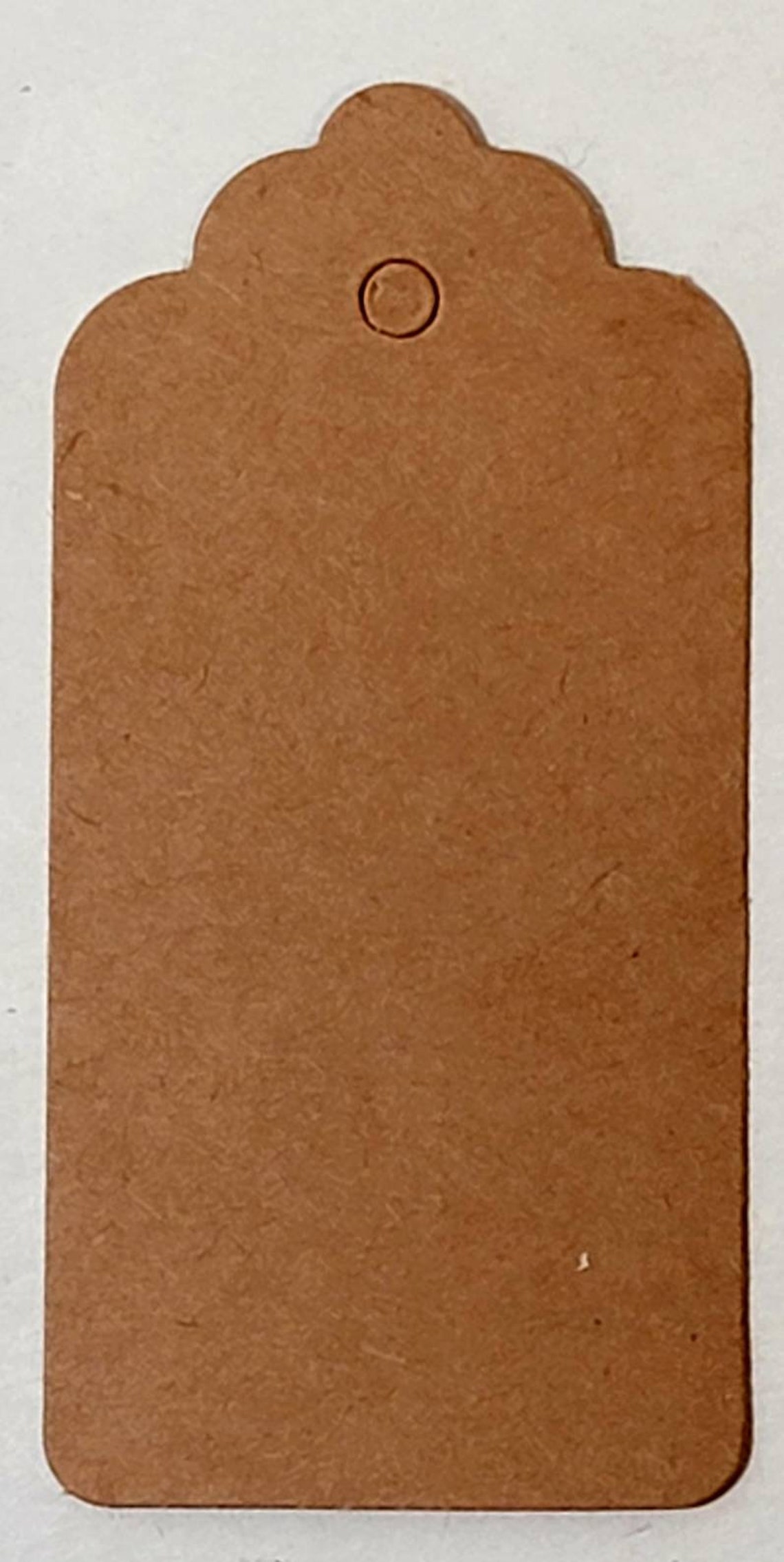 Blank Kraft Tags, Set of 25, Ready to Create Your Own Design, Quality ...