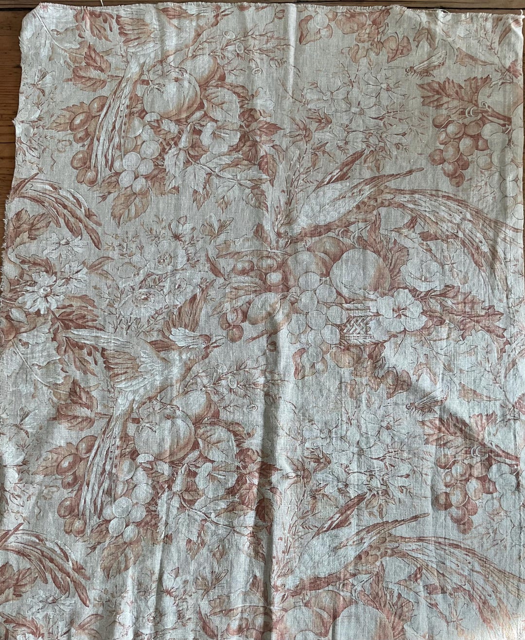 Little Piece of French Linen Toile, Birds With Fruit, Floppy Linen in ...