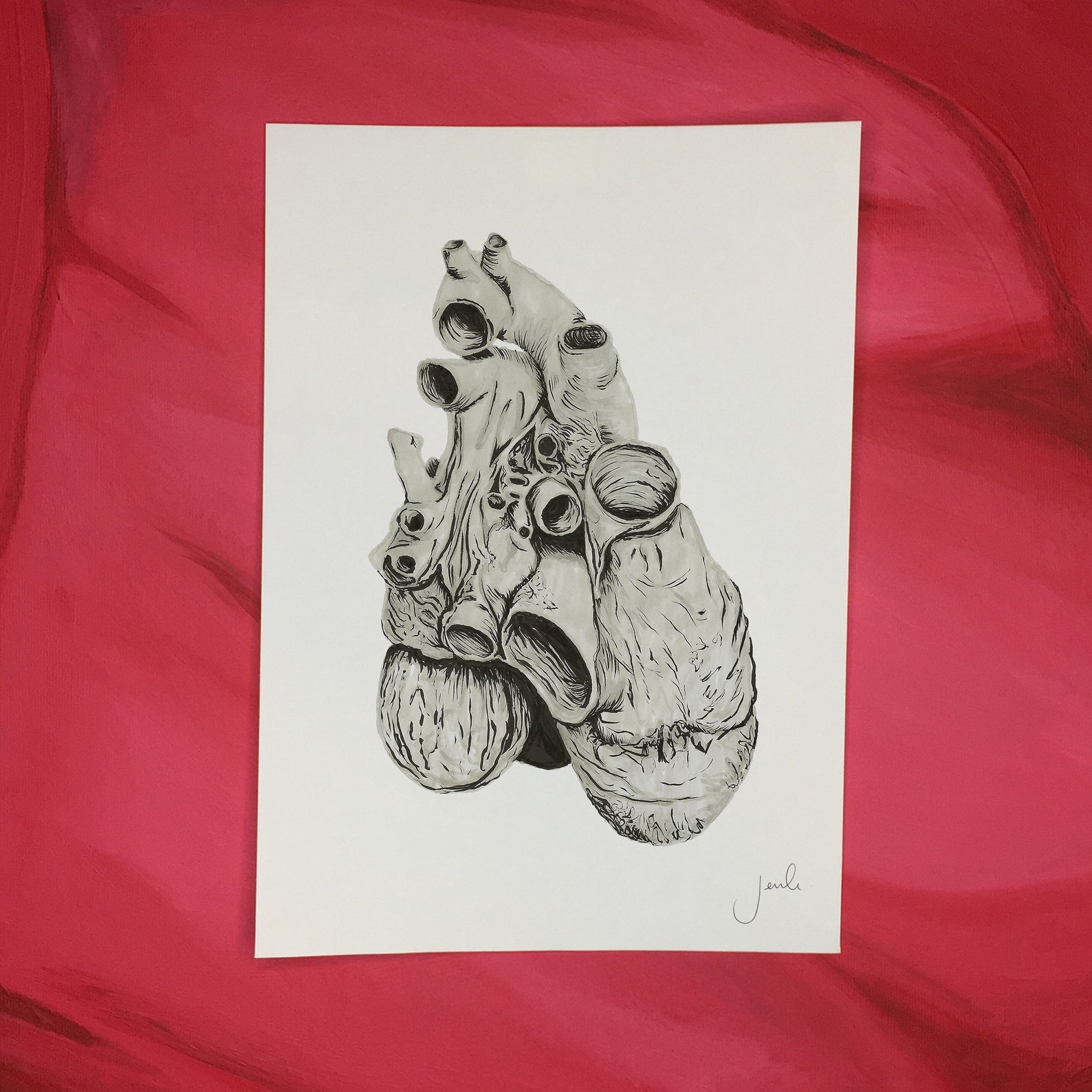 Whale Heart Print Anatomical Marine Biology Heart Prints | Etsy