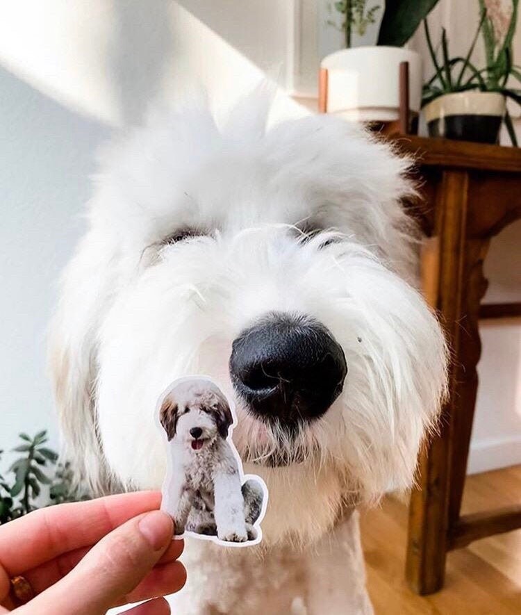 CUSTOM Dog Sticker Upload Any Image | Etsy