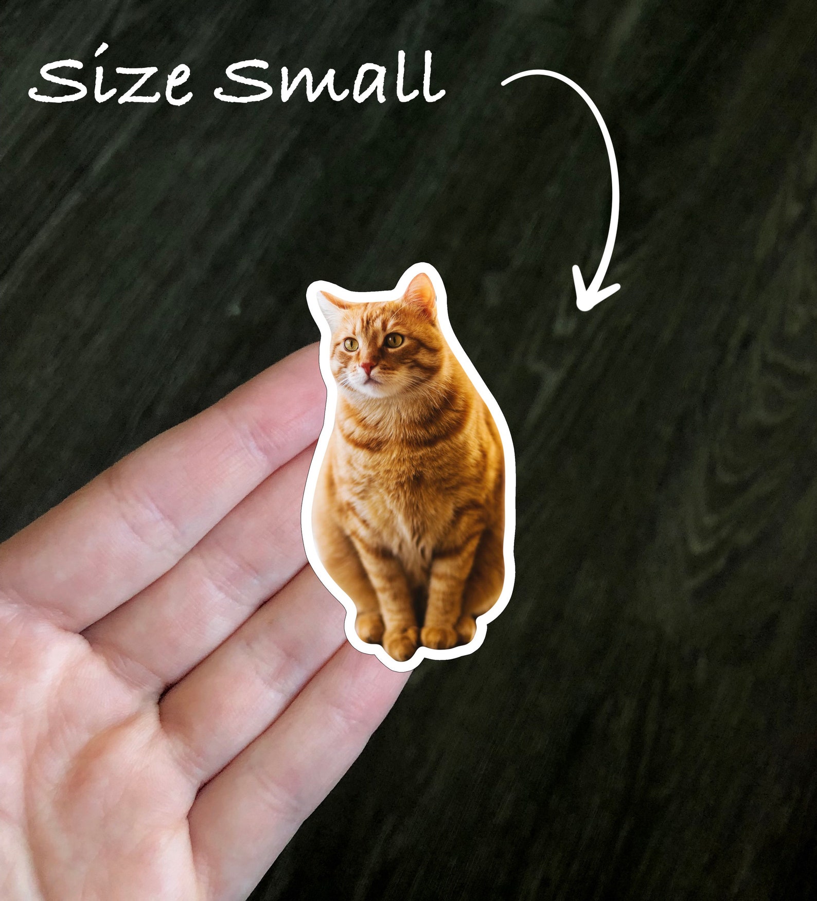 CUSTOM Cat Sticker Upload Any Image | Etsy