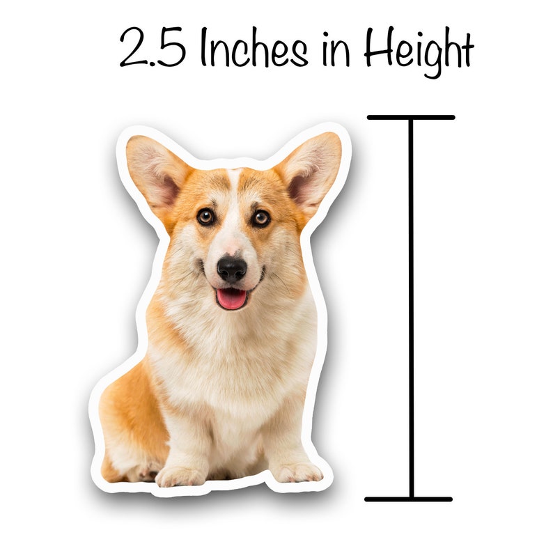 Christmas Stocking Stuffer Sticker of Family Pet - Etsy