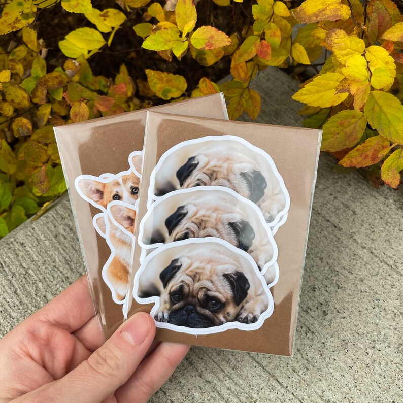 Christmas Stocking Stuffer Sticker of Family Pet - Etsy