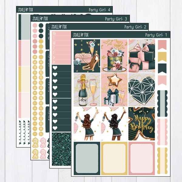 Birthday Planner Stickers - Etsy