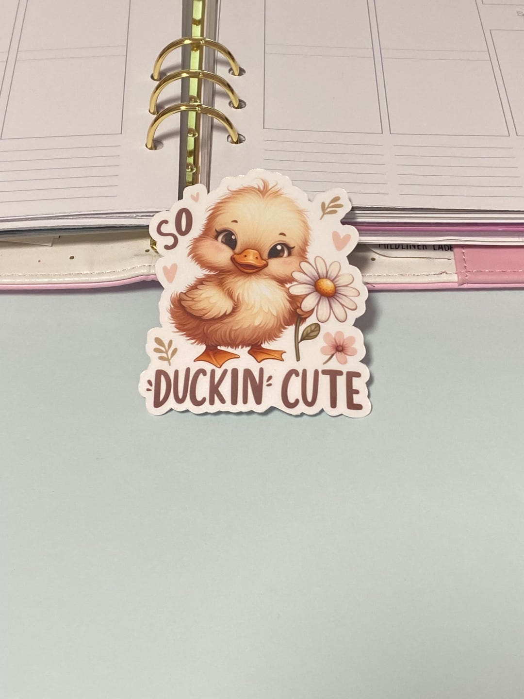 Cute Funny Baby Chick Die Cut Vinyl Sticker Planner Journal Laptop ...