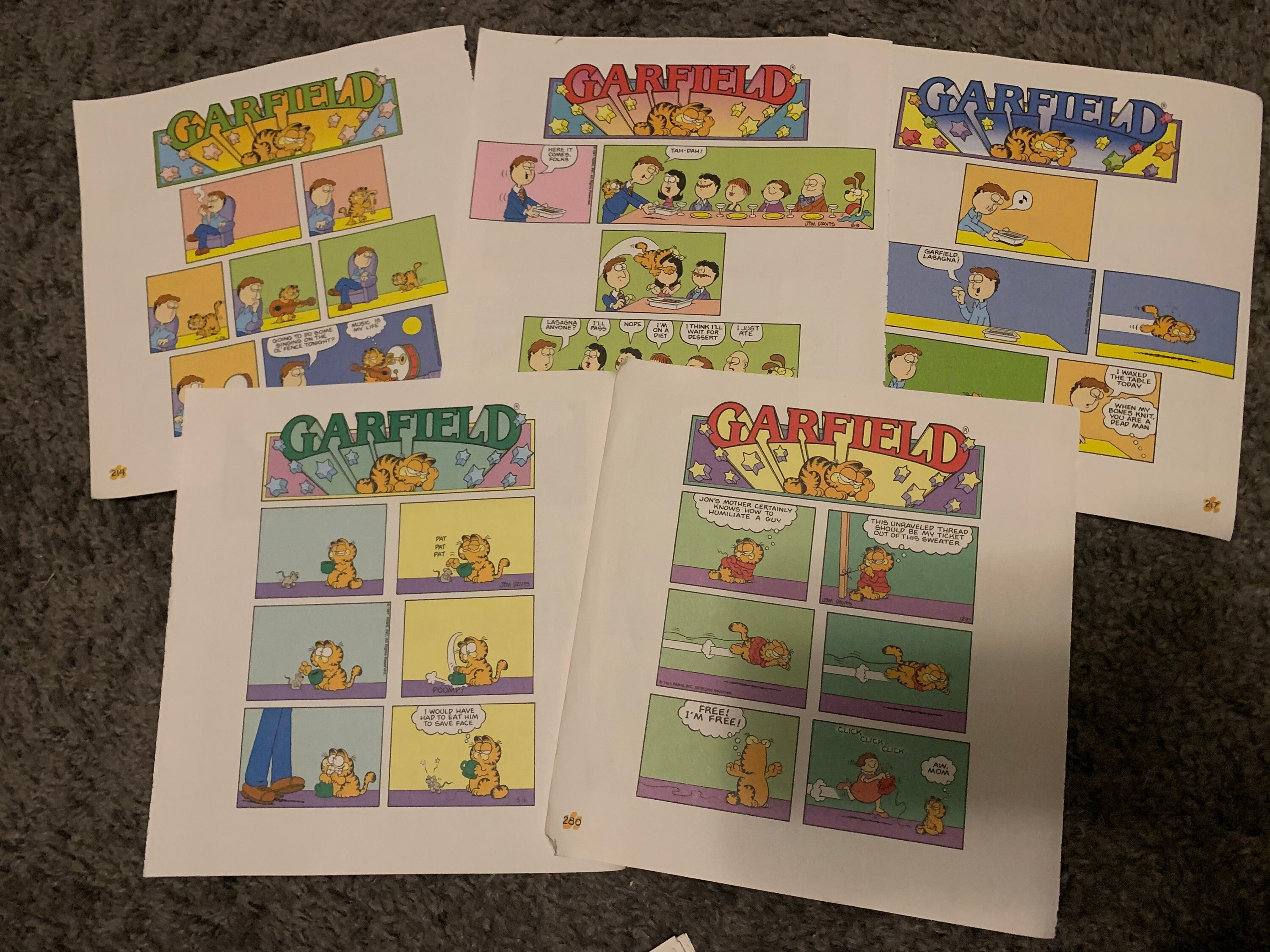 Full Color Garfield Sunday Comics-Full Page | Etsy