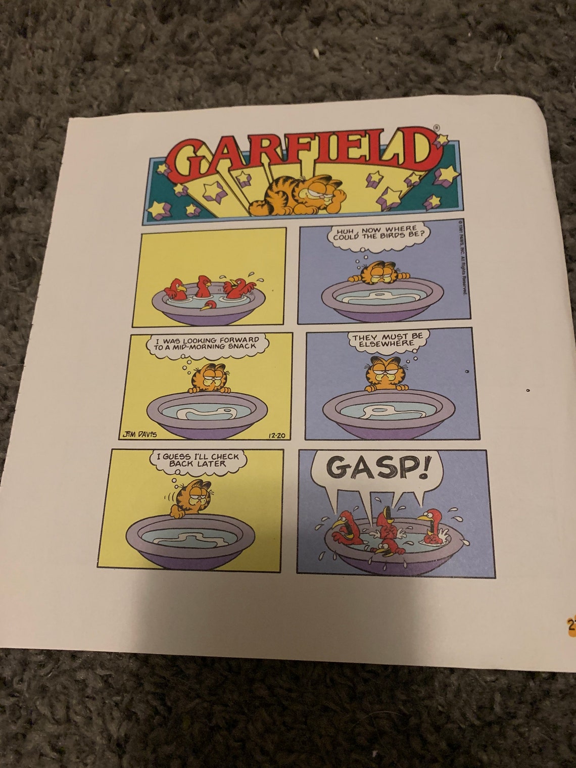 Full Color Garfield Sunday Comics-Full Page | Etsy