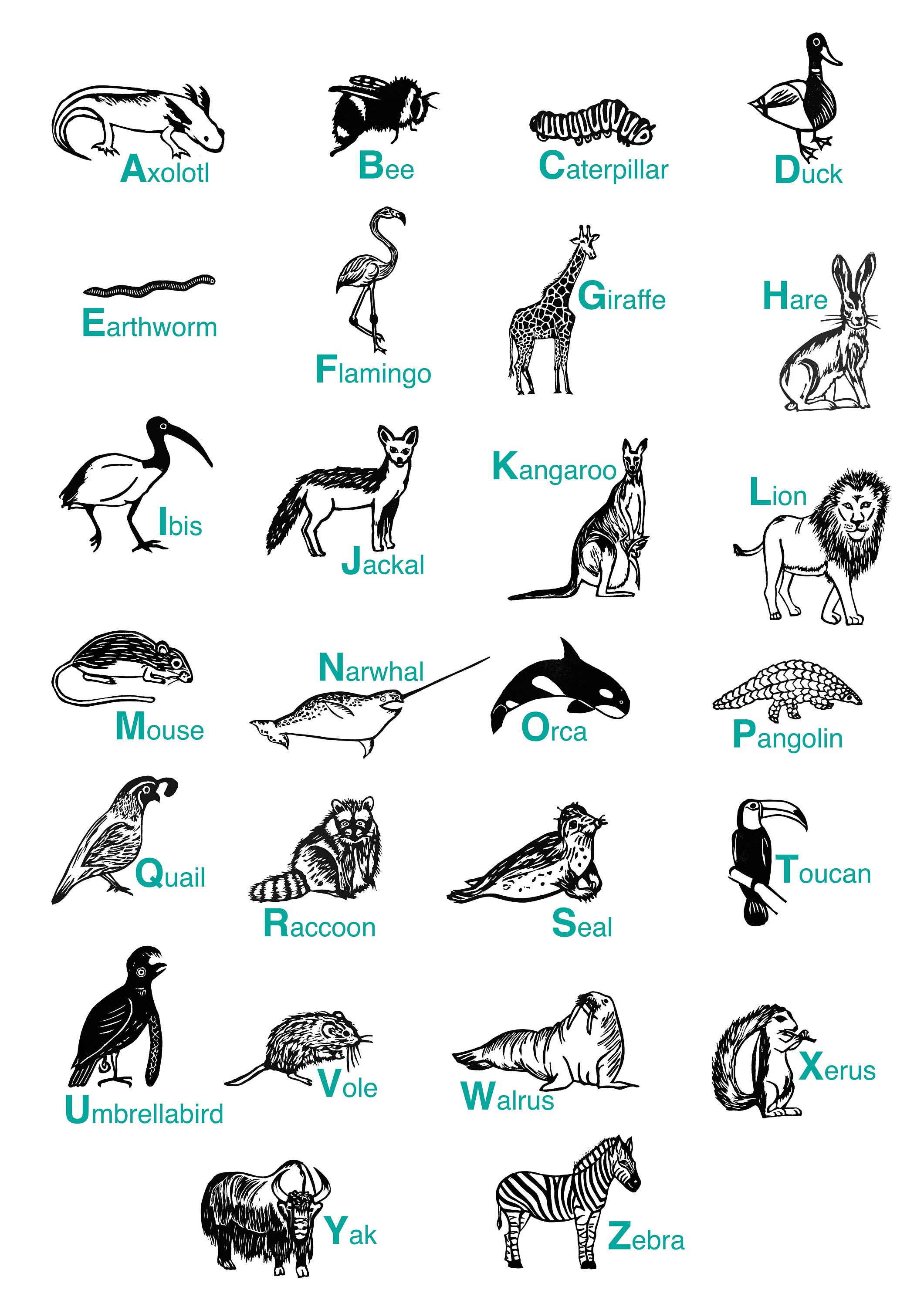 Animal Alphabet - Etsy