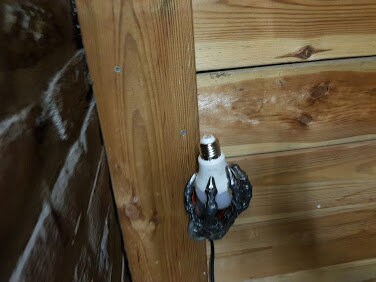 Sculpting Welded Metal Design Skeleton Bones With LED Lamp in - Etsy