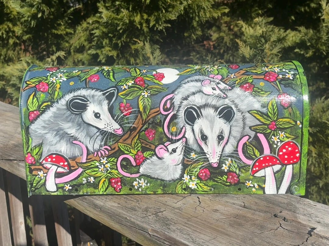 Opossum Family Mailbox - Etsy