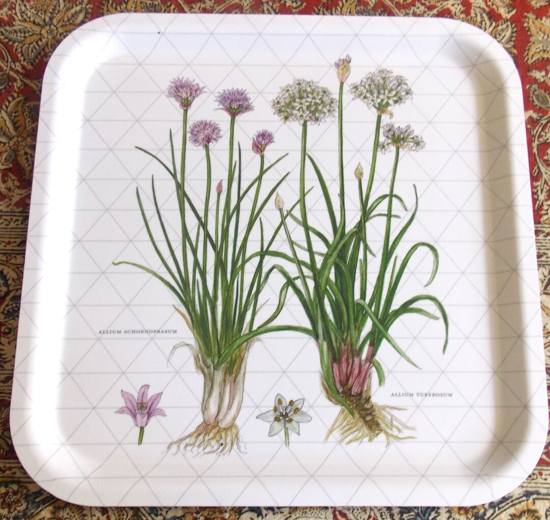Square Tray Made of Compressed Birch Bark, 32cm per Side - Etsy