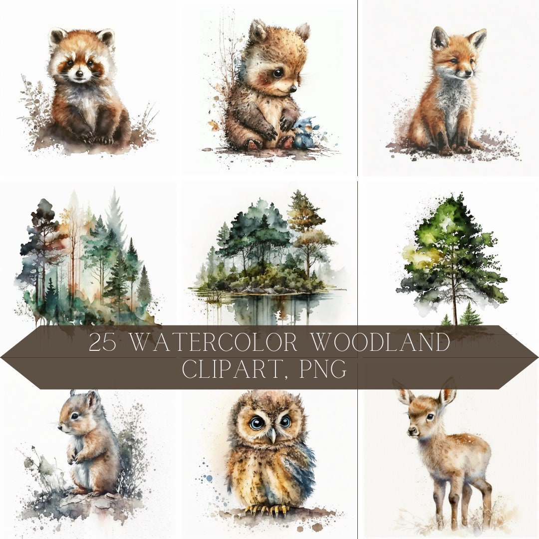 25 PNG Watercolor Baby Woodland Animals, Clipart Bundle, Little ...