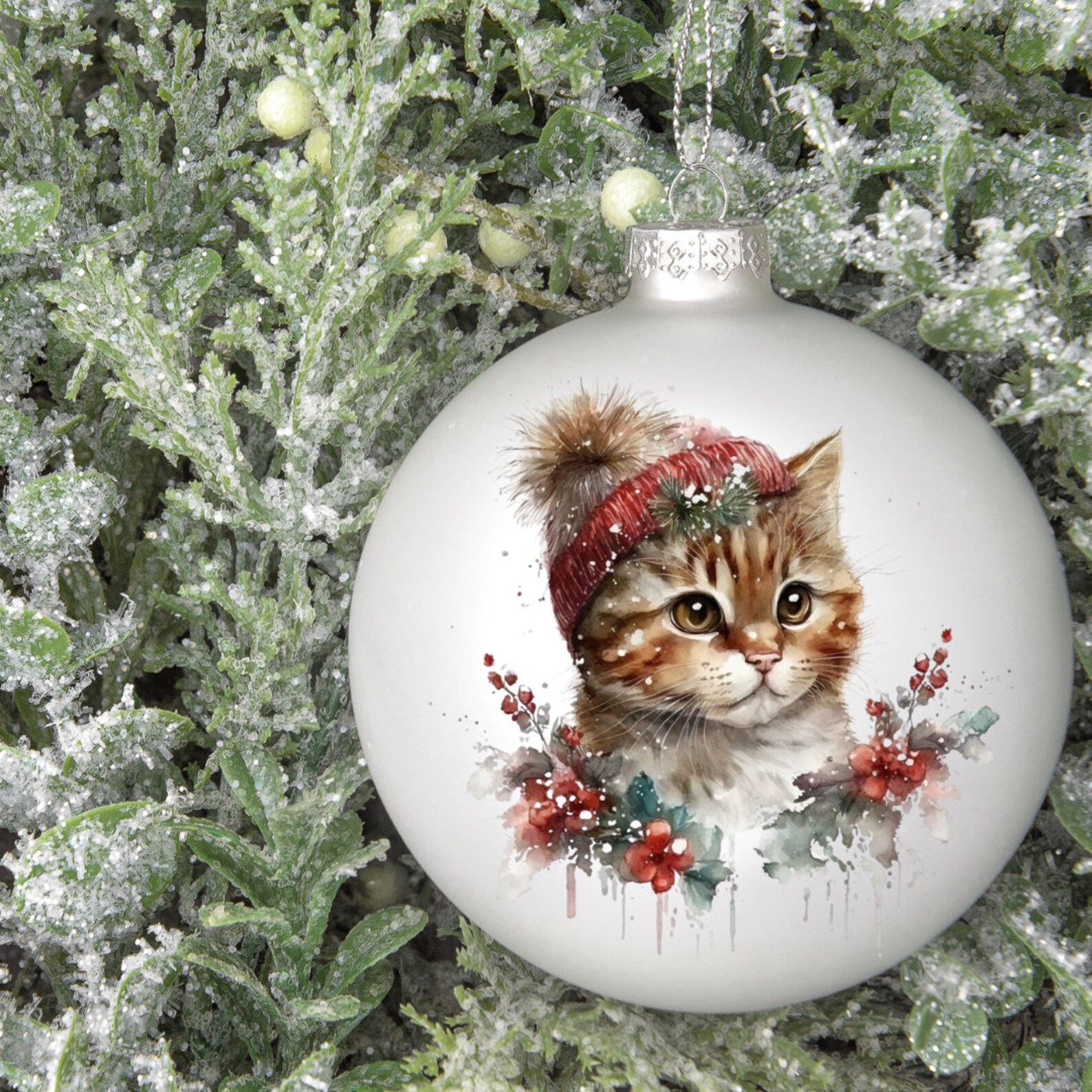 Cute Christmas Cats Clipart / Transparent Pngs / Commercial - Etsy