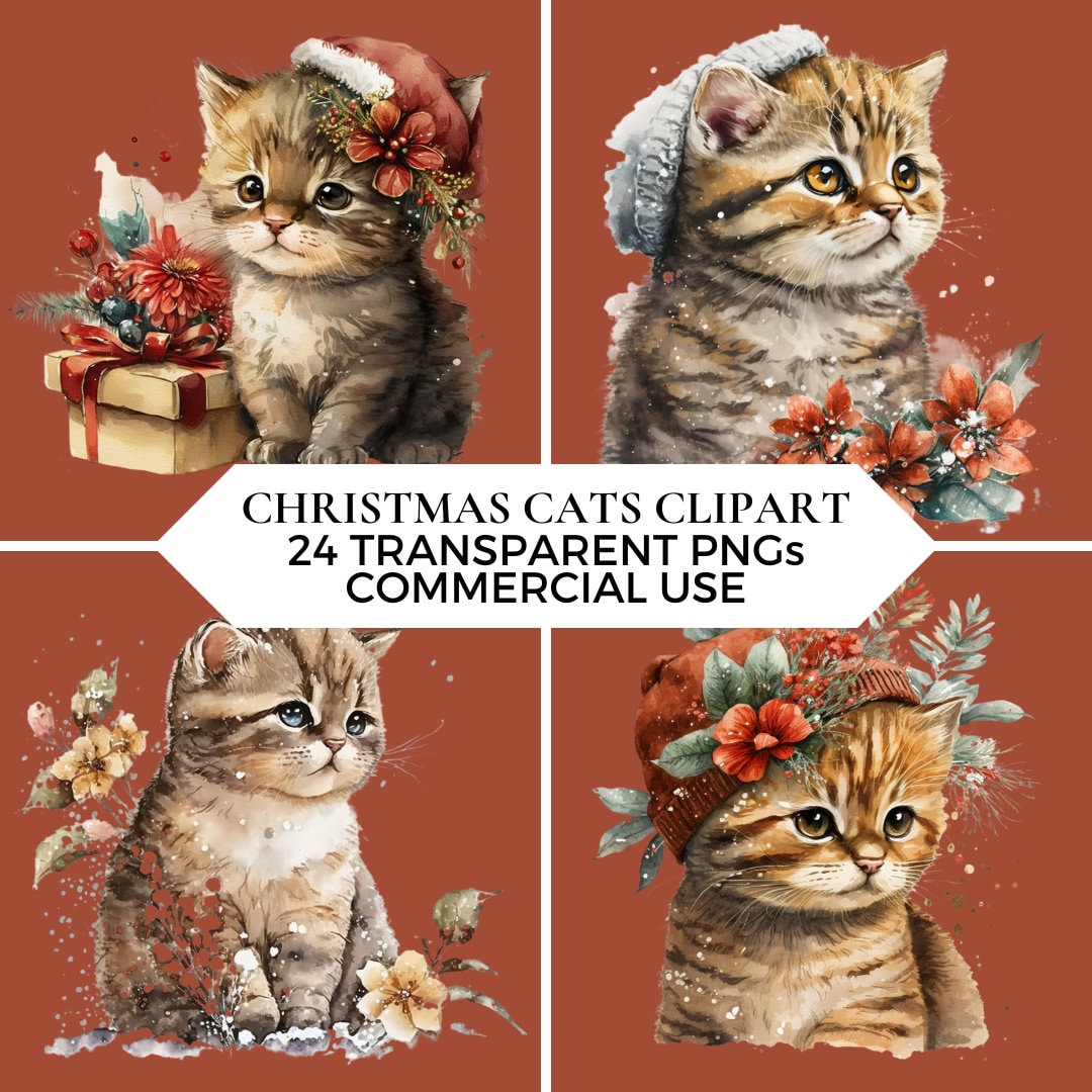 Cute Christmas Cats Clipart / Transparent Pngs / Commercial Use ...