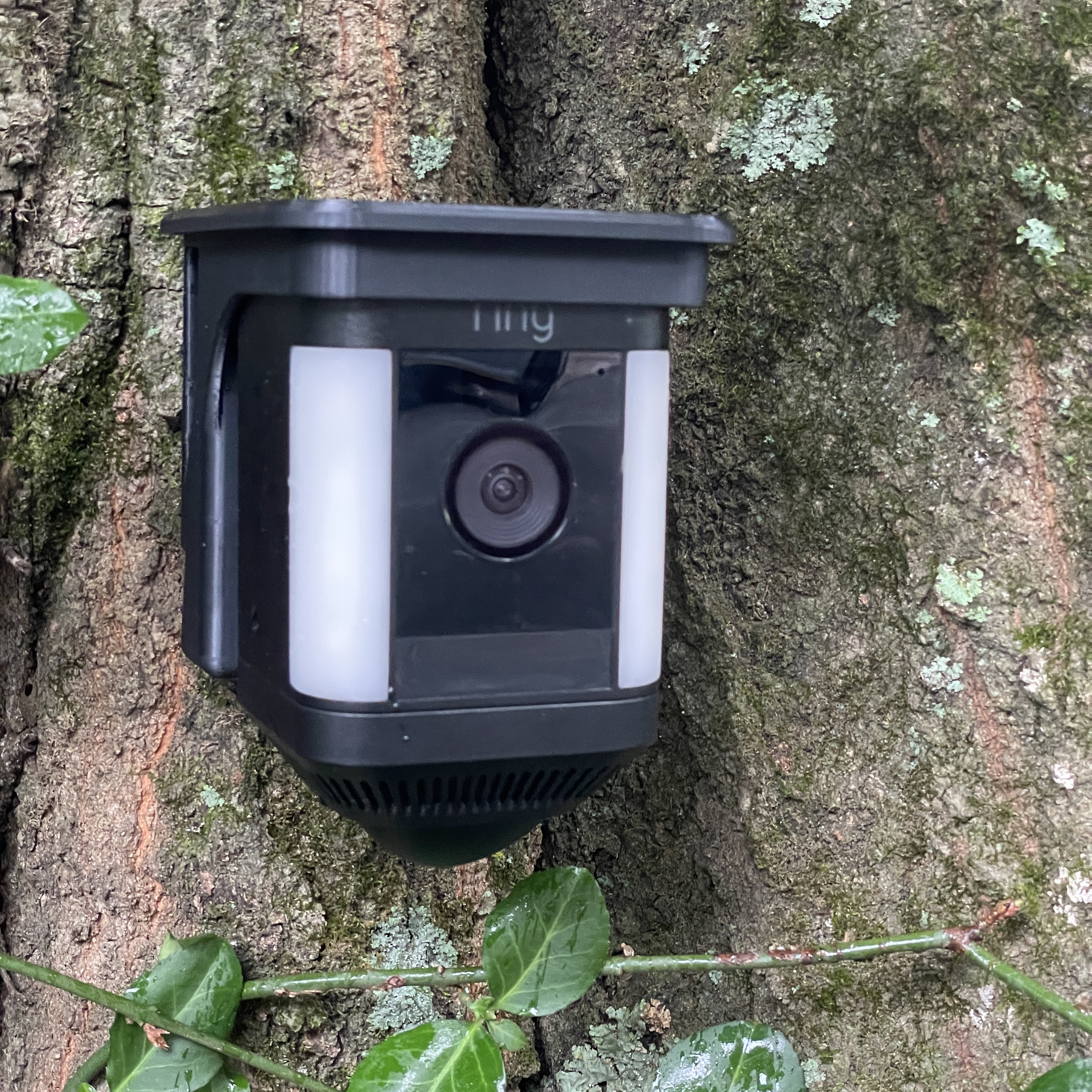 RING Spotlight Plus & Pro Cam Tree // A Tree or Post Mount for the RING ...