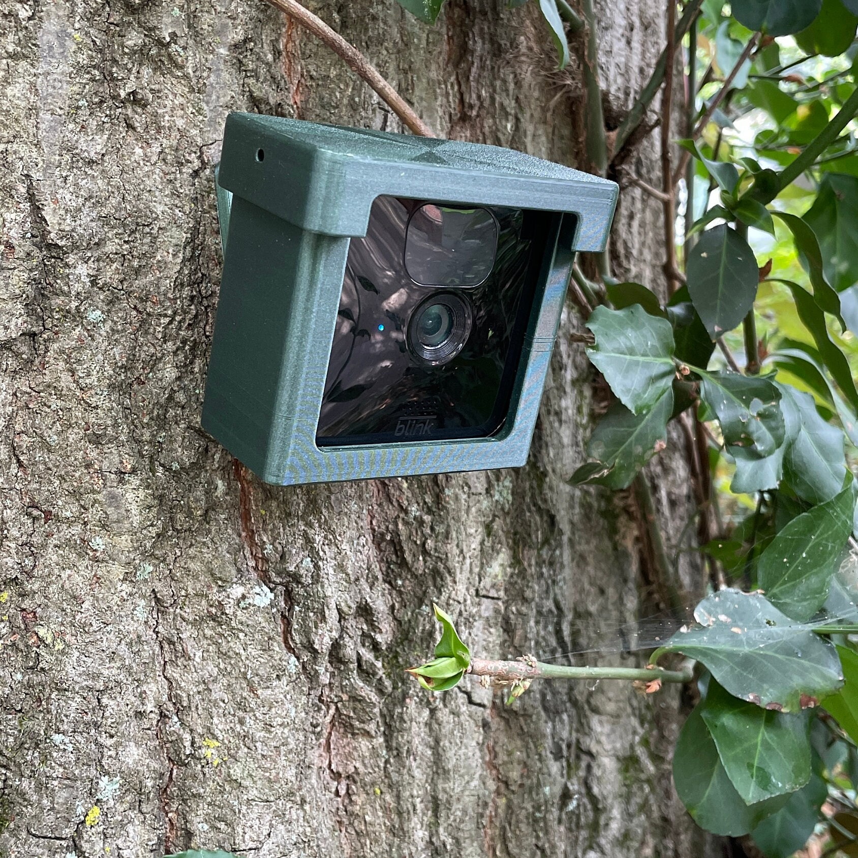 BLINK (gen 1-4) Cam Tree Mount // an Adjustable, Squirrel-proofed ...