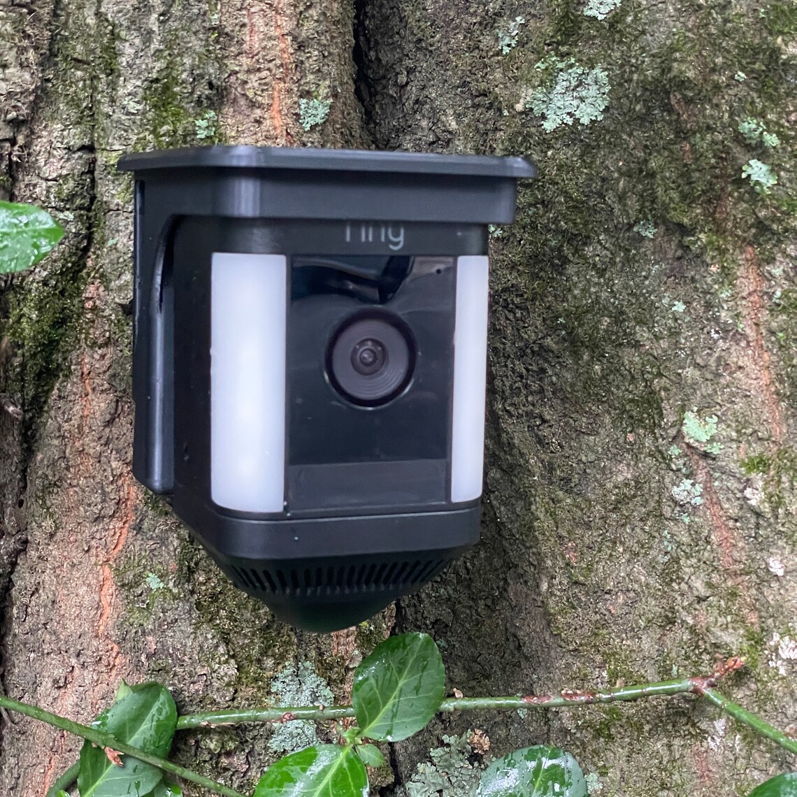RING Spotlight Plus & Pro Cam Tree // A Tree or Post Mount for the RING ...