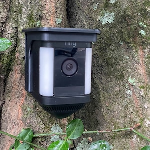 RING Spotlight Plus & Pro Cam Tree // A Tree or Post Mount for the RING ...