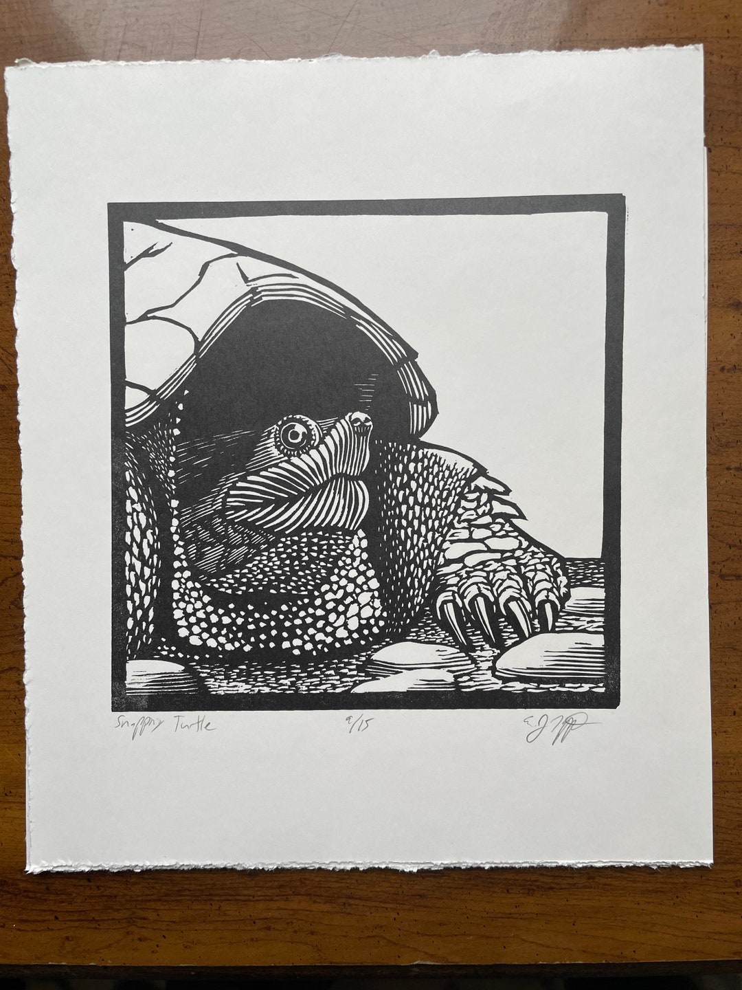 Snapping Turtle. Linocut - Etsy