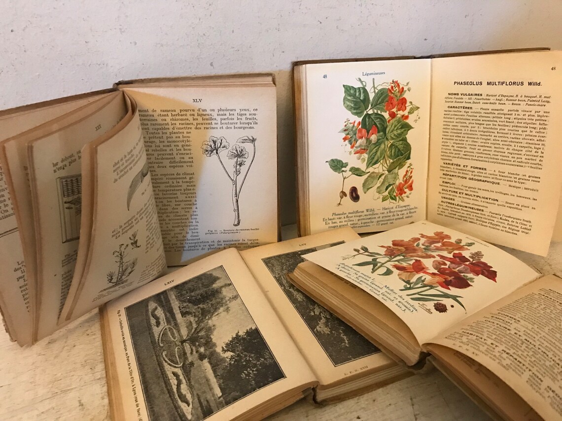 Antique French Book Botanical Garden Books Agricultural Agricultural ...