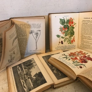 Antique French Book Botanical Garden Books Agricultural Agricultural ...