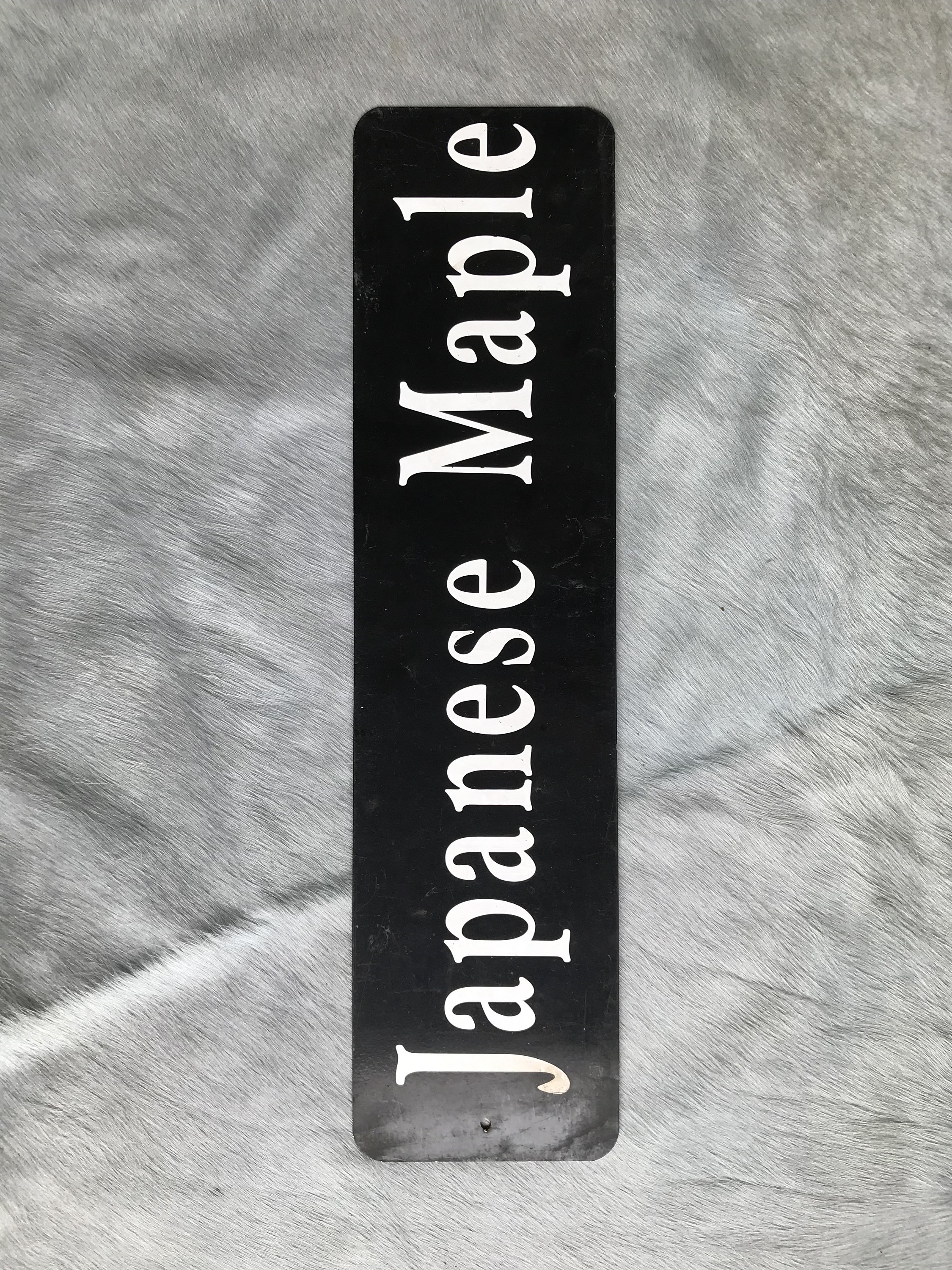 Antique Garden Sign Metal Tree Sign Japanese Maple New England - Etsy