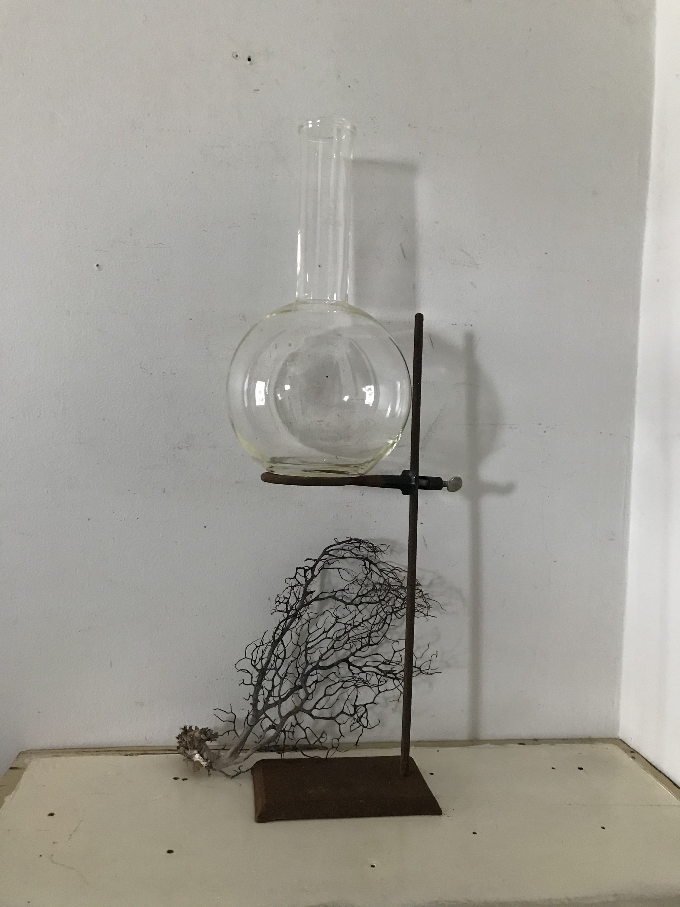 Antique Lab Rack Beaker Flask Test Tube Stands Scientific Botanical ...