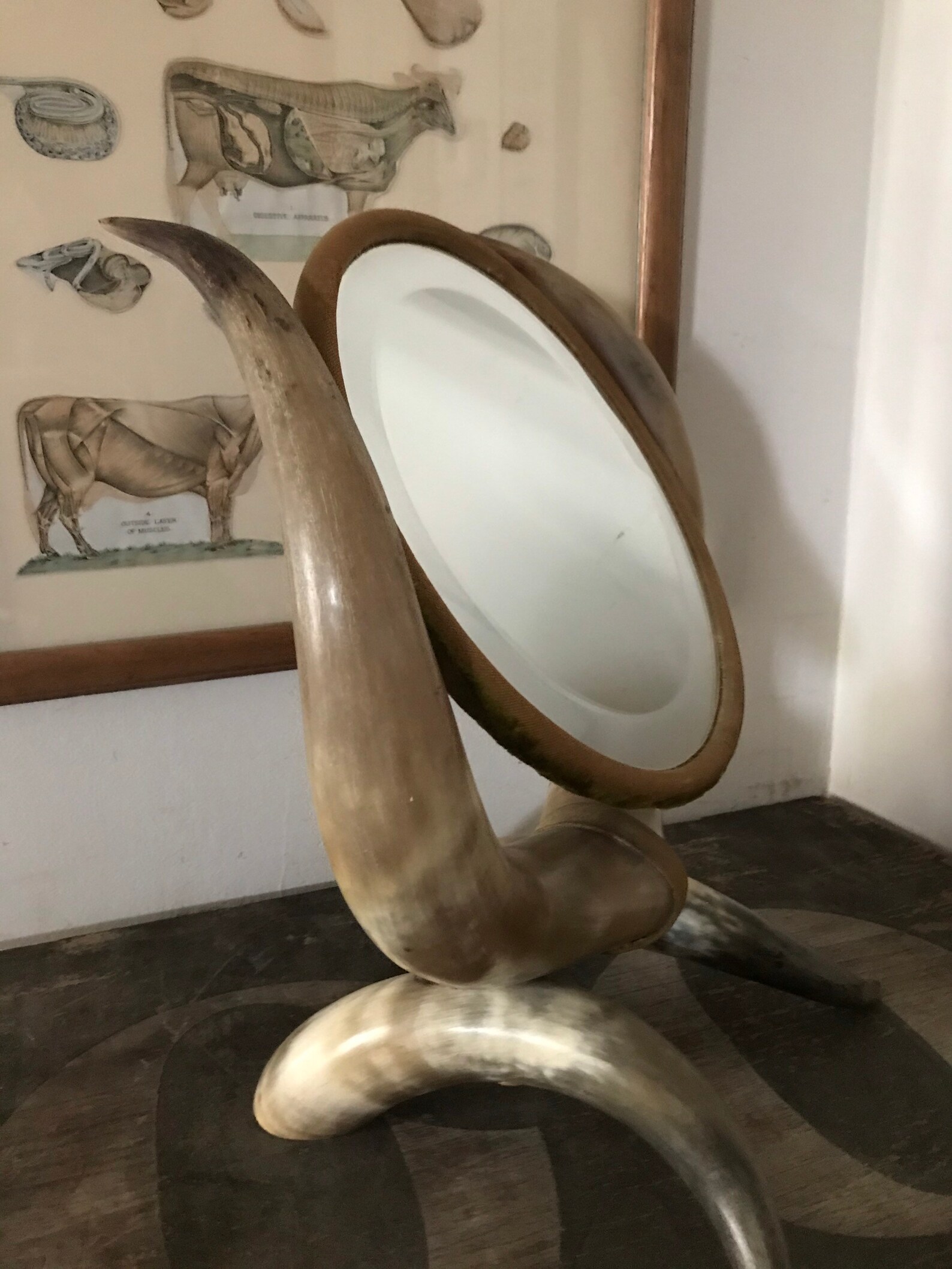 Antique Horn Mirror Victorian Western Shaving Mirror Vanity - Etsy