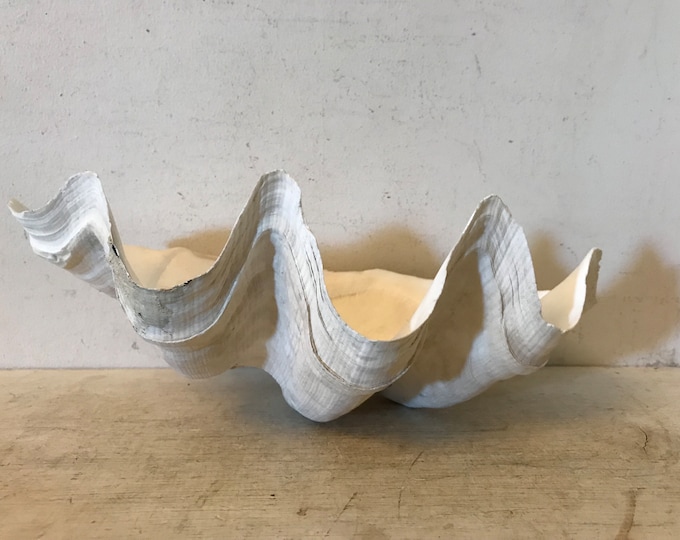 Antique Giant Clam Shell Specimen Garden Planter Sea Shell Beach Gigas ...