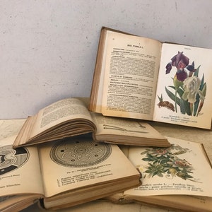 Antique French Book Botanical Garden Books Agricultural Agricultural ...