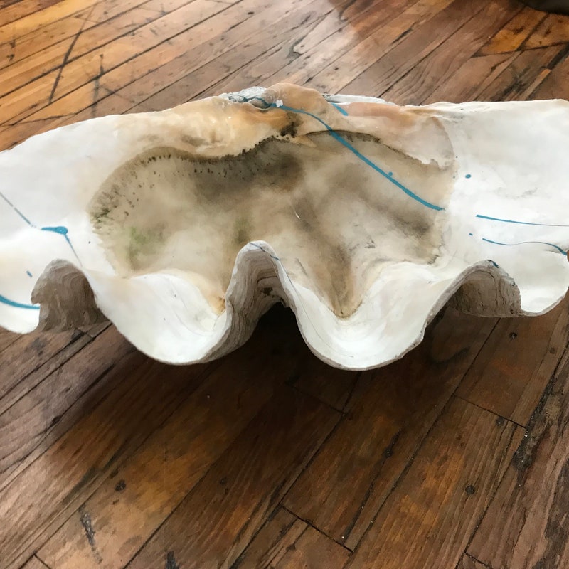 Painted Clam Shells - Etsy