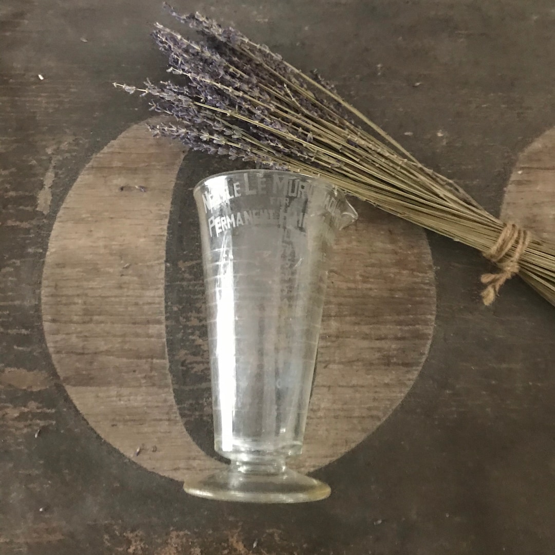 Antique Lab Glass Beaker Graduate Measure Flask Garden - Etsy