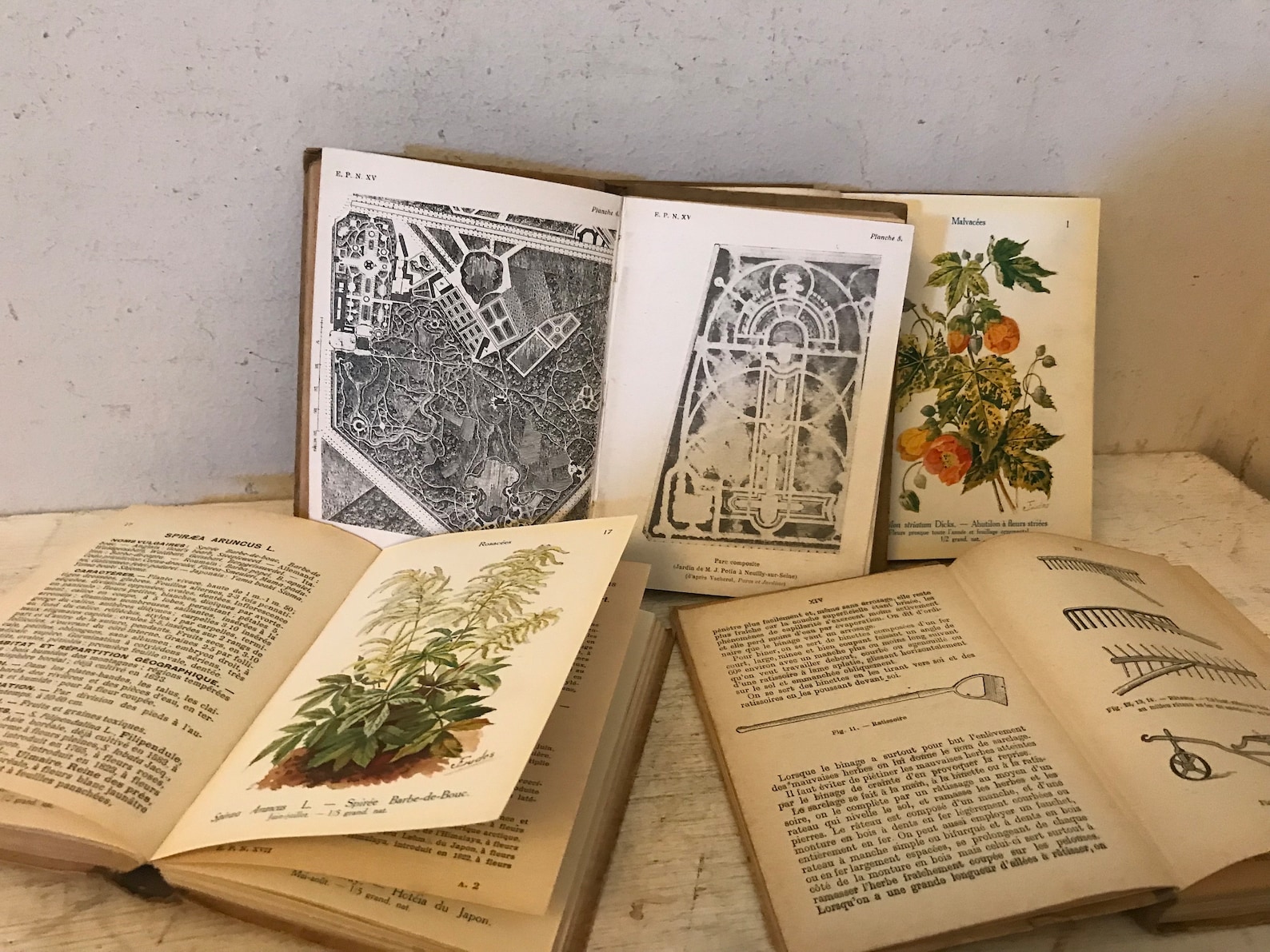 Antique French Book Botanical Garden Books Agricultural Agricultural ...
