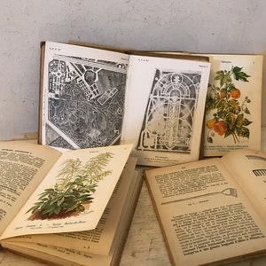Antique French Book Botanical Garden Books Agricultural Agricultural ...