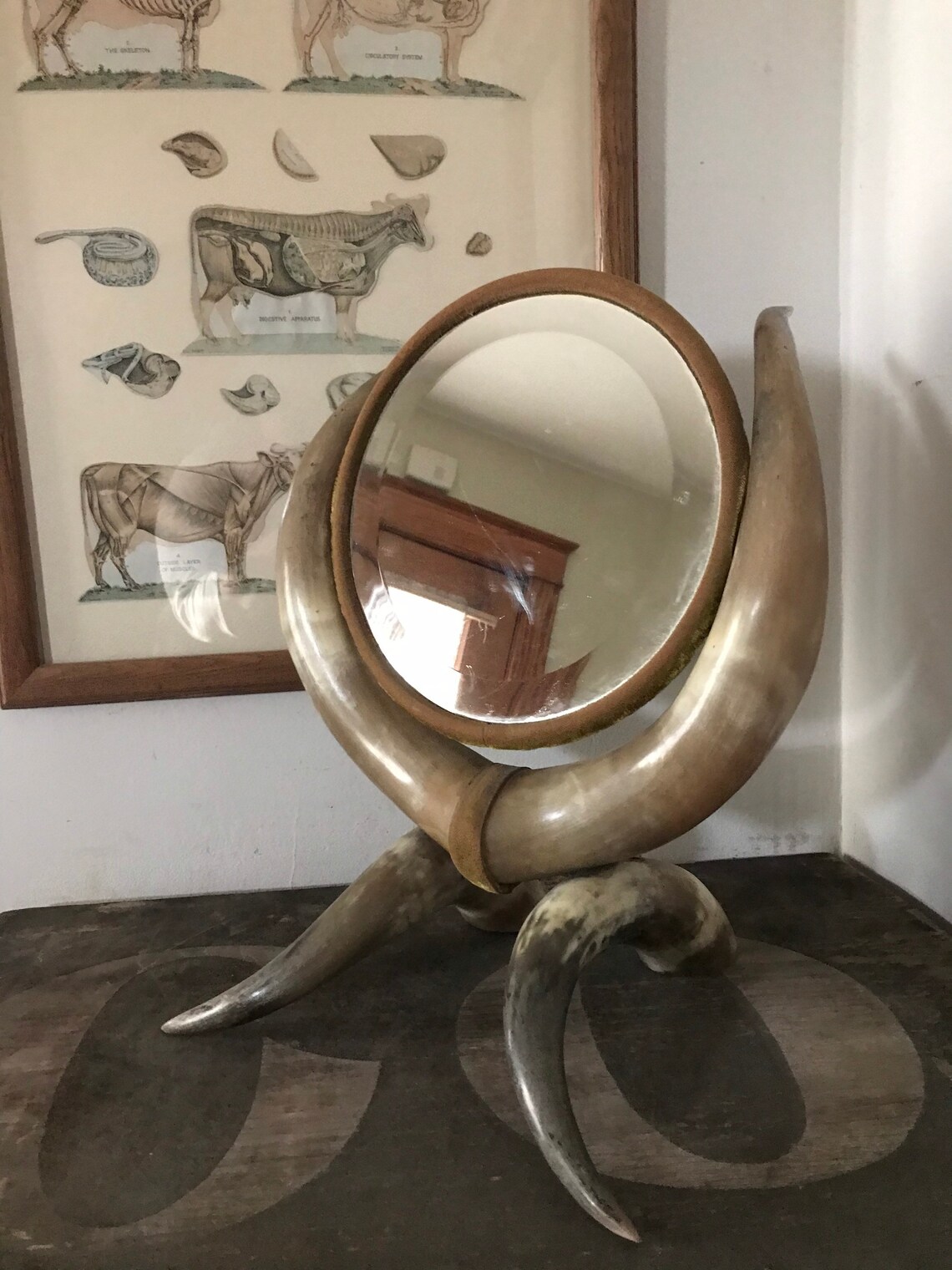 Antique Horn Mirror Victorian Western Shaving Mirror Vanity - Etsy