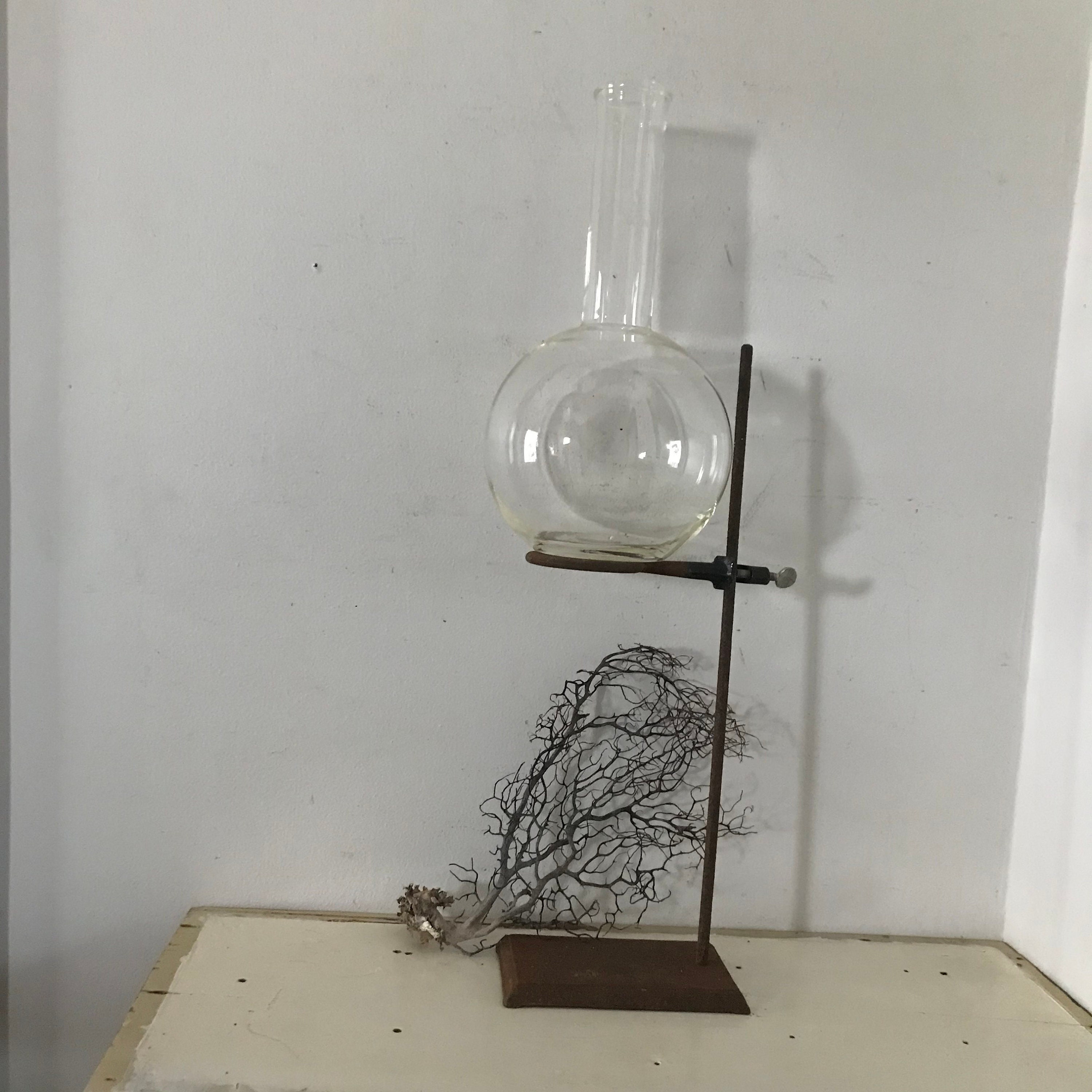 Antique Lab Rack Beaker Flask Test Tube Stands Scientific Botanical ...