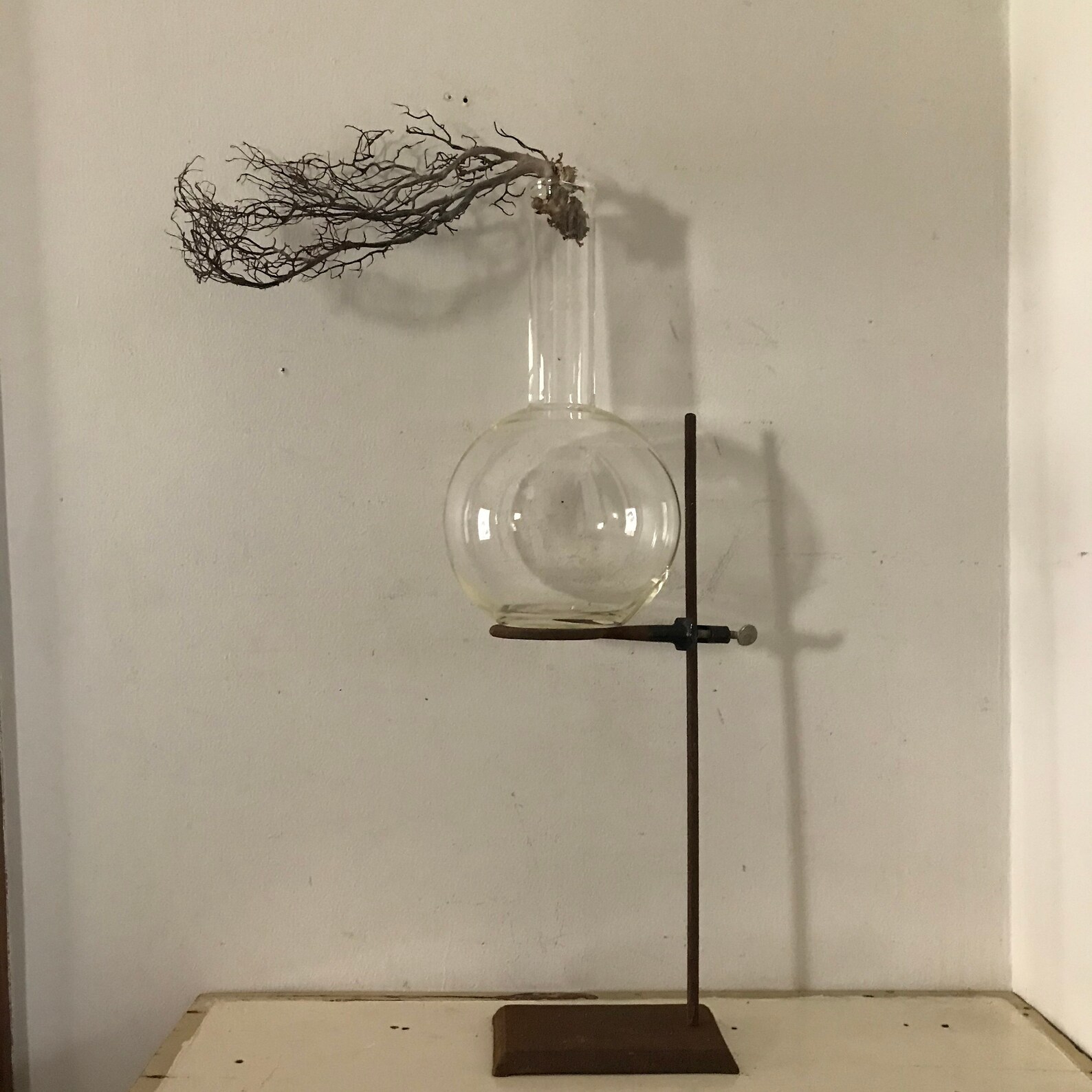 Antique Lab Rack Beaker Flask Test Tube Stands Scientific Botanical ...