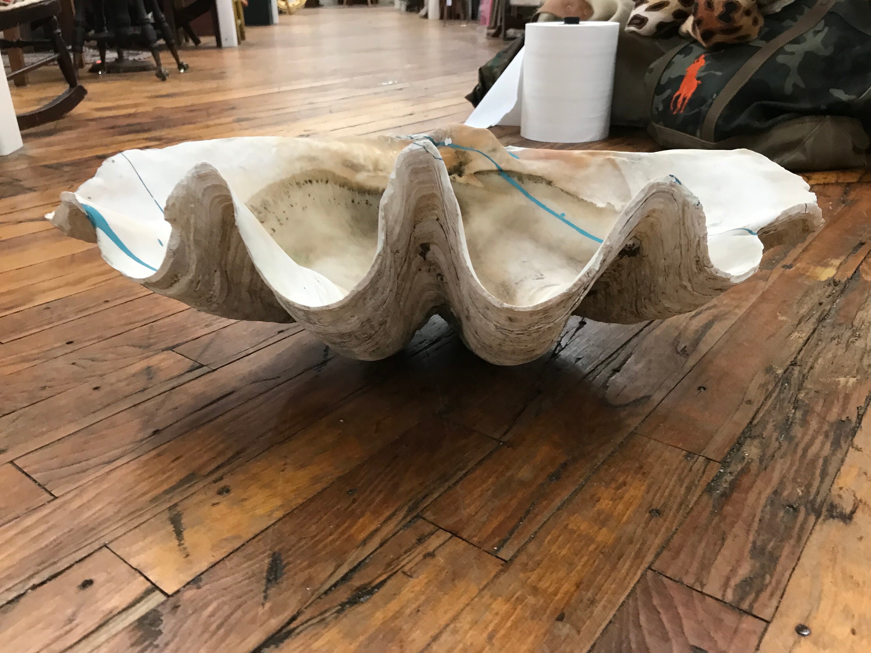 Antique Giant Clam Shell Specimen Garden Planter Sea Shell Beach Gigas ...