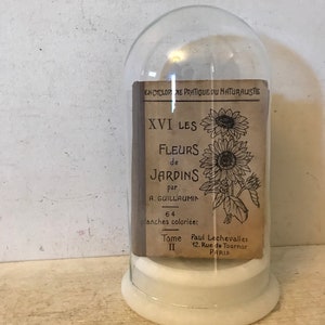 Antique French Book Botanical Garden Books Agricultural Agricultural ...